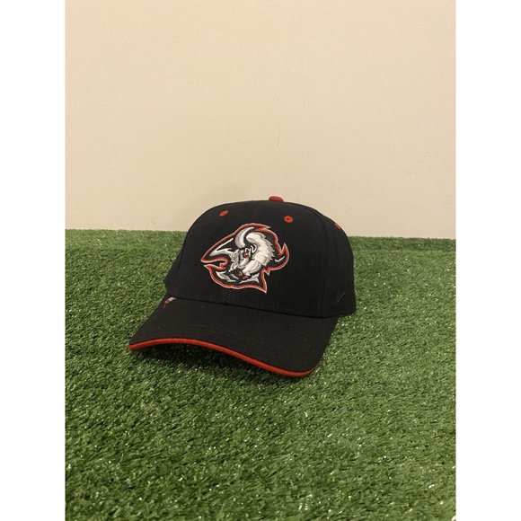 Zephyr | Accessories | Vintage Ytk Zephyr Buffalo Sabres Logo Fitted ...